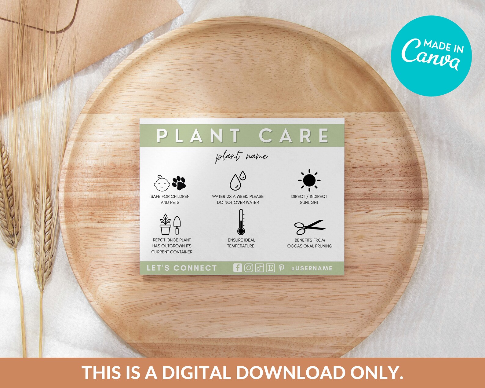 Editable Plant Care Card Template, Editable Care Card Canva Template ...