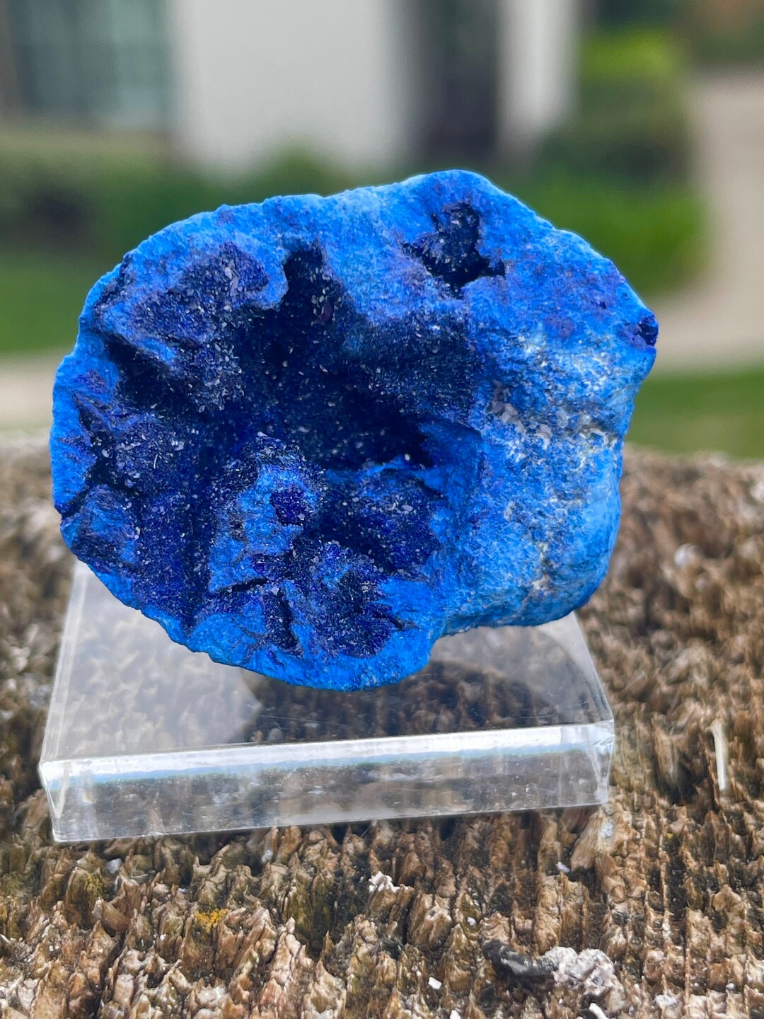 A MAGNIFICENT Blue Azurite Blueberry Geode Fine Mineral Specimen Shiny ...