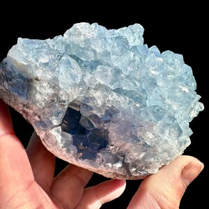2 Pound Baby Blue TABULAR Celestine Geode Crystal Rock Mineral Specimen ...