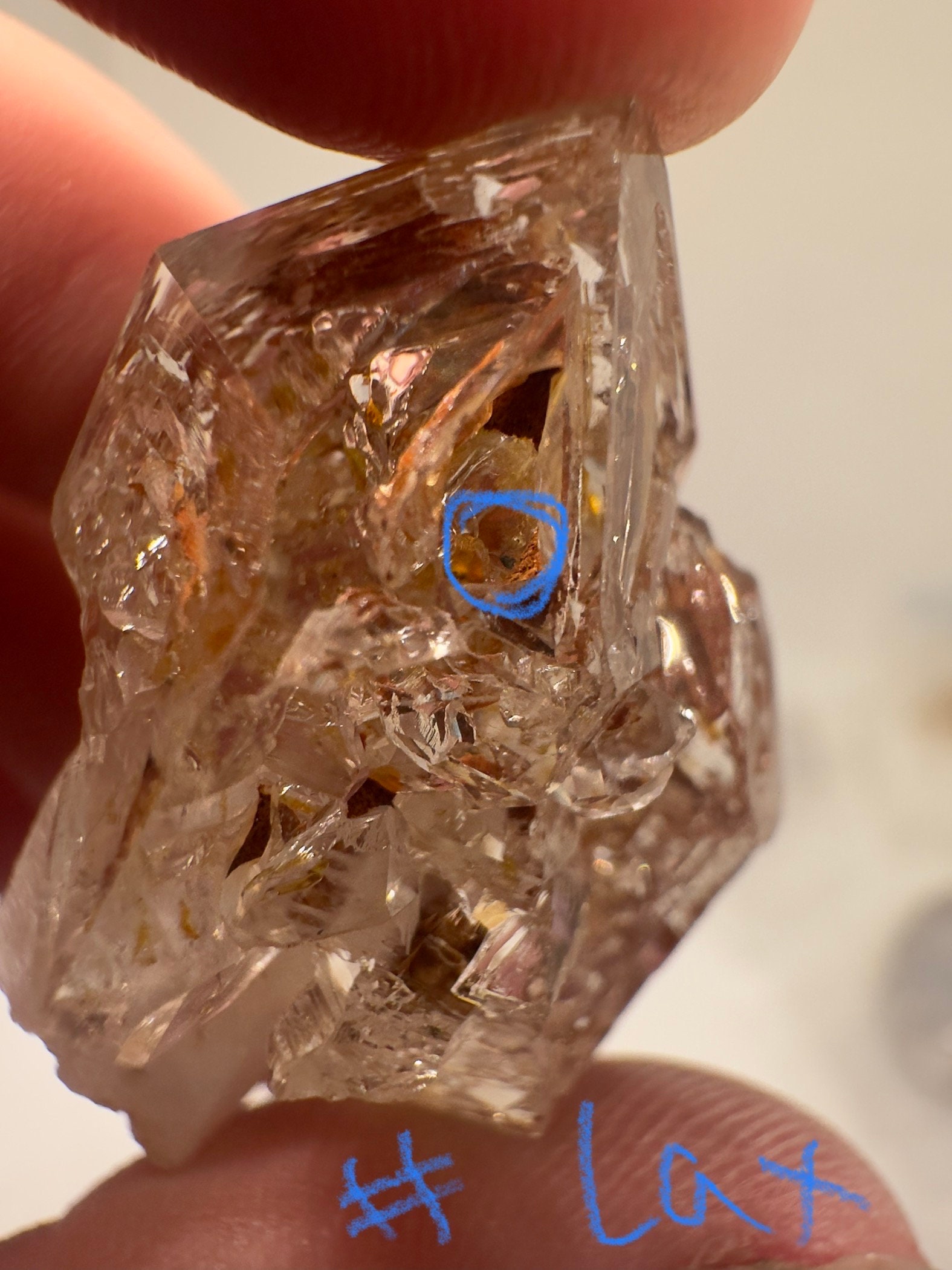 Firefly Petroleum Skeletal Included Quartz Septor With Multiple ...