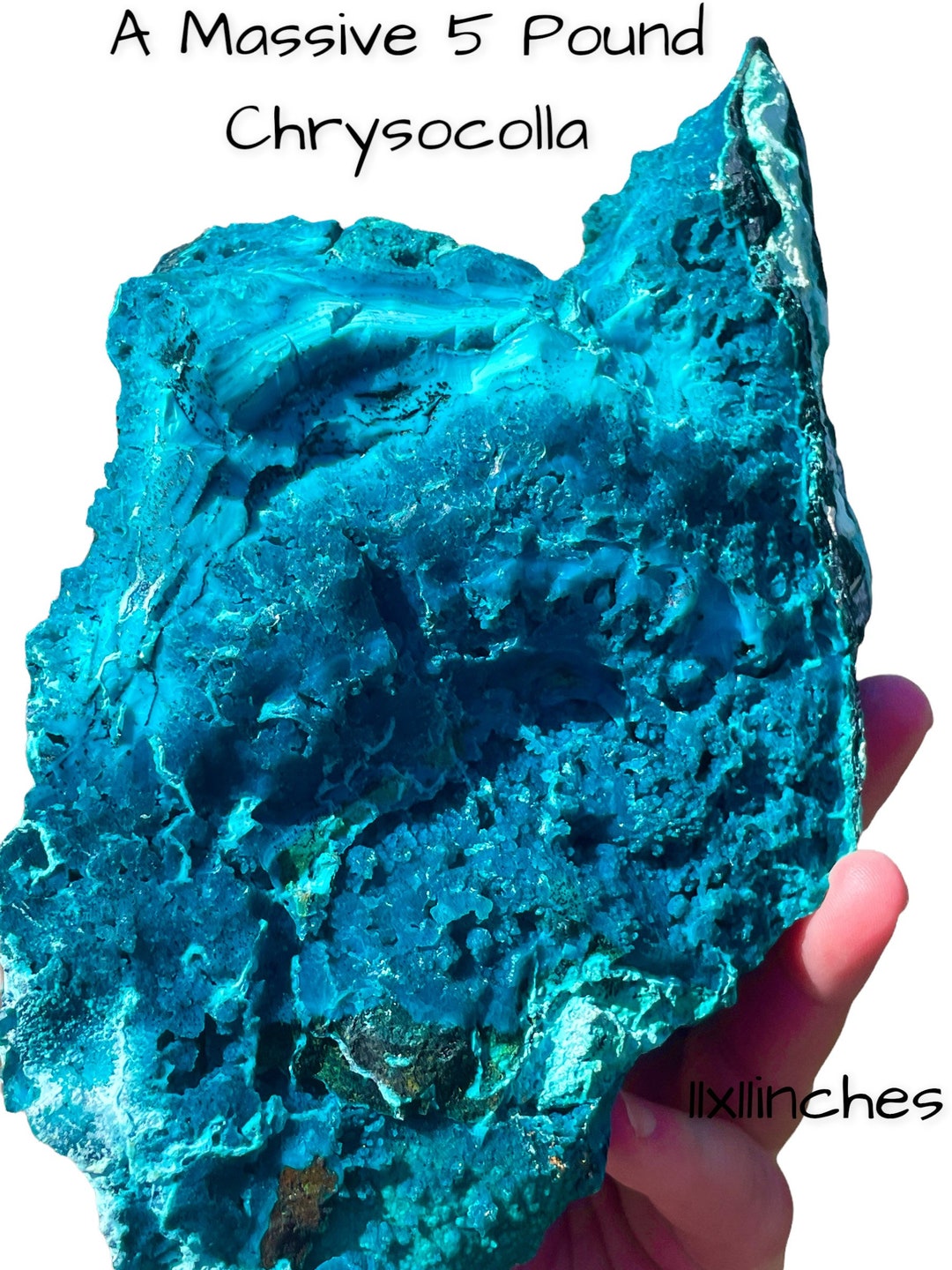 A Massive 5 Pound Cunyari Mine Bright Blue Chrysocolla Mineral Specimen ...