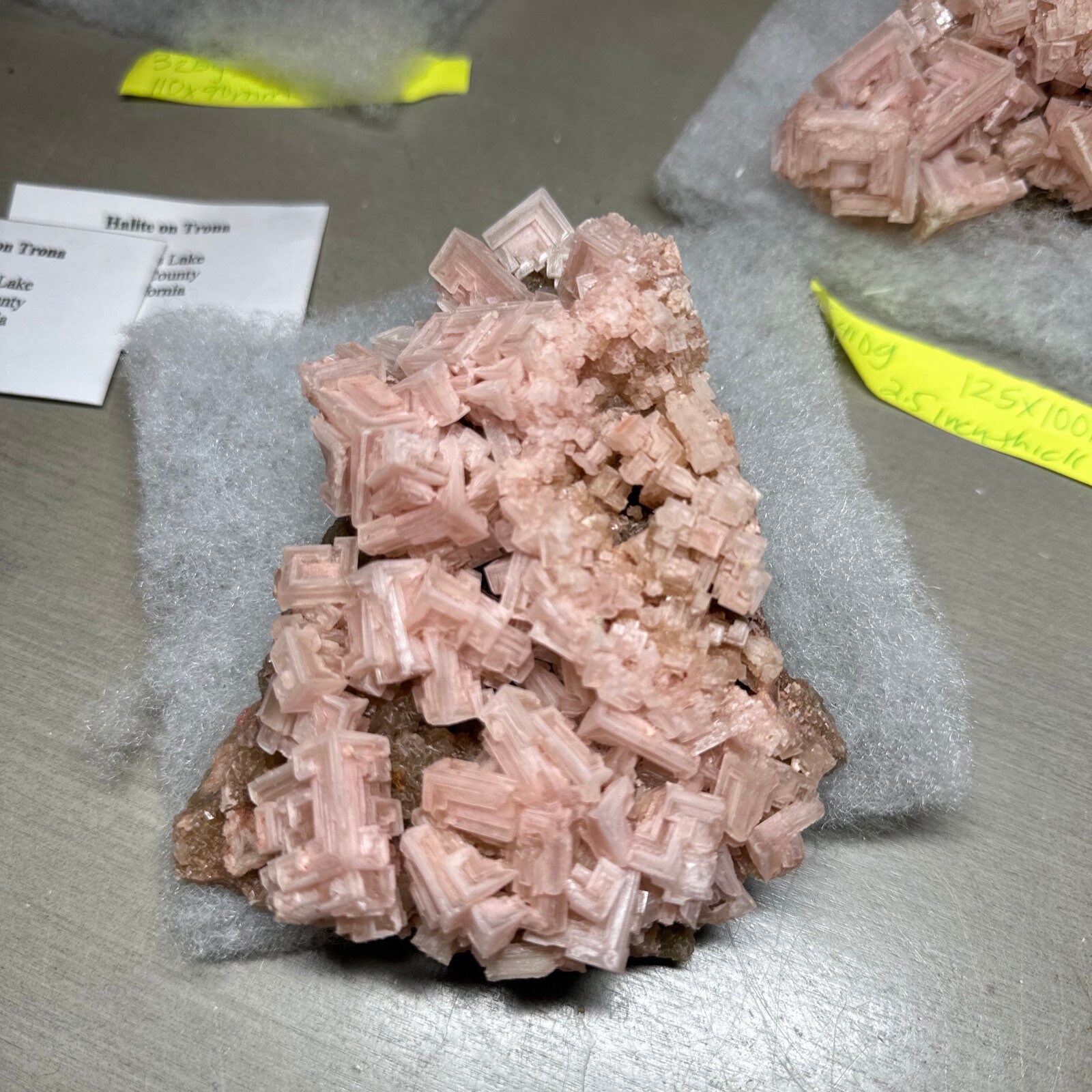 A Large Gorgeous Halite on Trona Pink Chalky Salt Mineral - Etsy