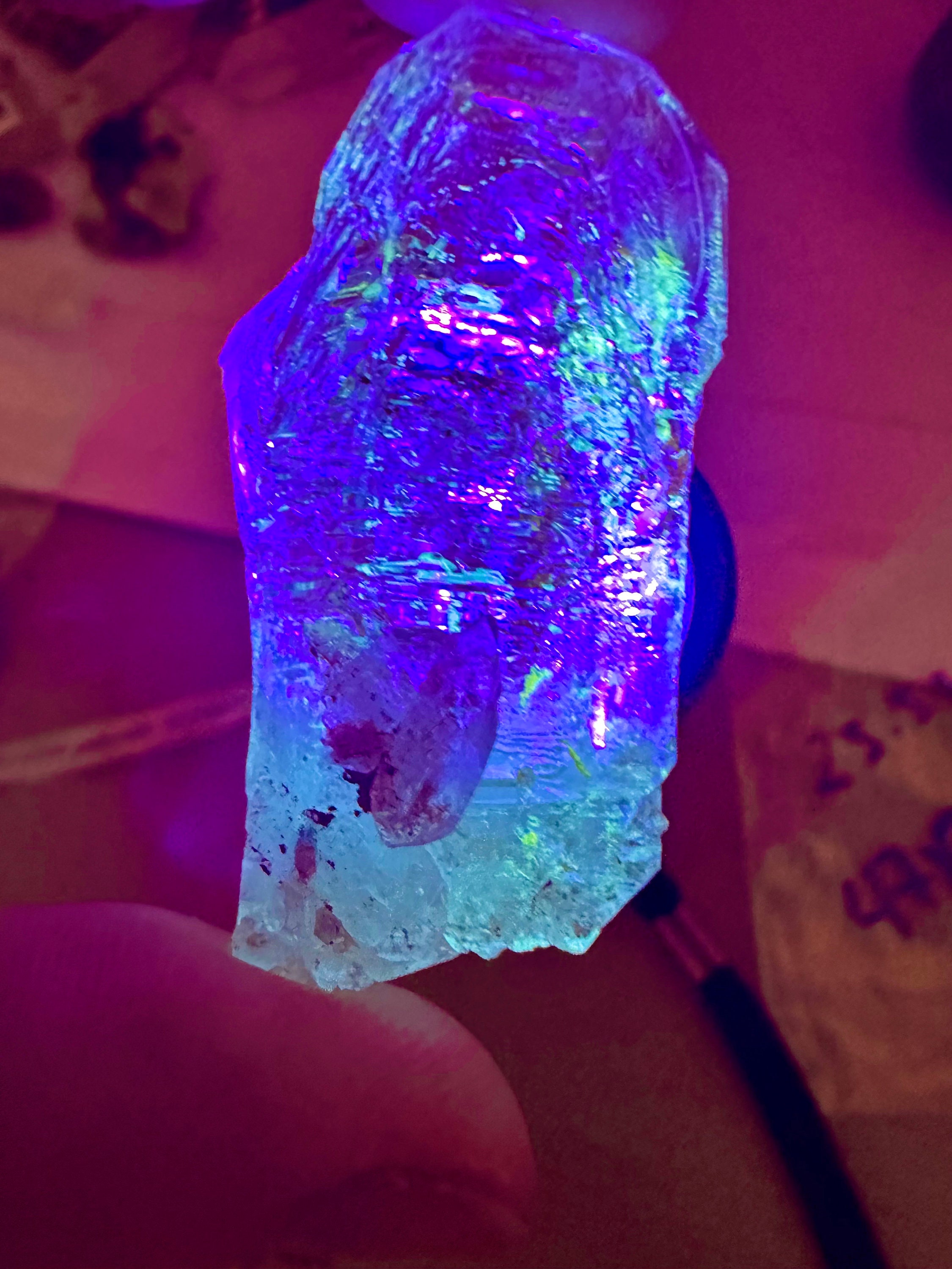 Firefly Skeletal Petroleum Included Quartz Uv Reactive Mineral Specimen ...