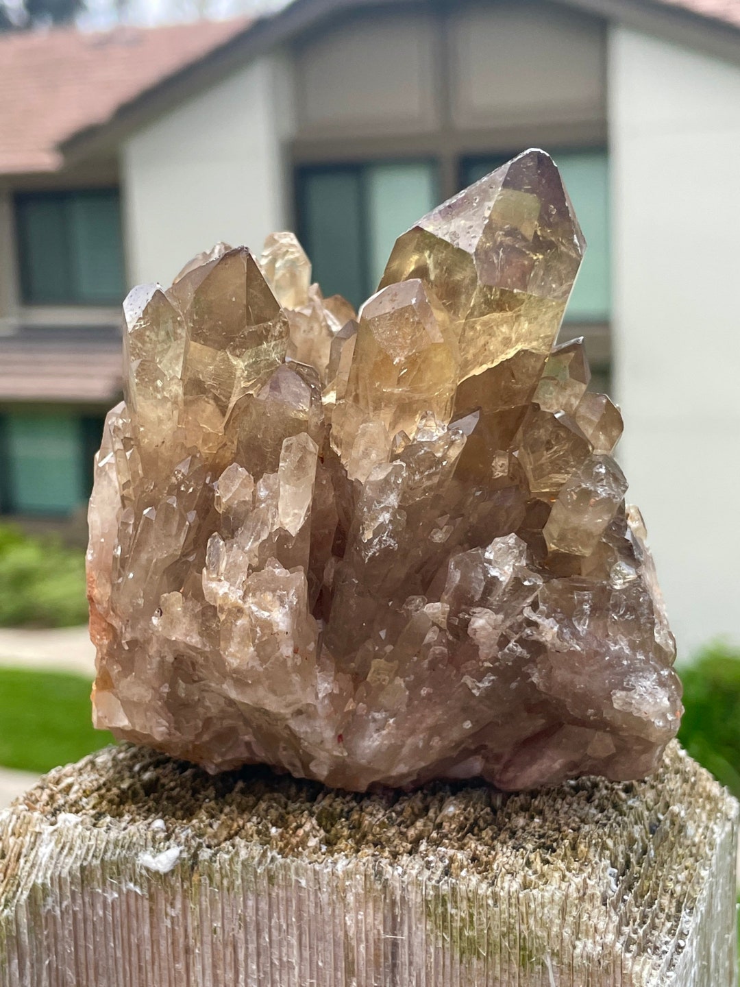 A Large Raw Natural CONGO CITRINE Mineral Specimen Gemstone Crystal A ...