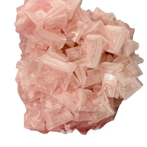 A Large Gorgeous Halite on Trona Pink Chalky Salt Mineral Specimen ...
