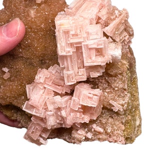 A Large Gorgeous Halite on Trona Pink Chalky Salt Mineral Specimen ...