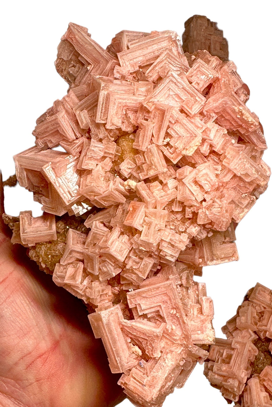A X-LARGE Huge Gorgeous Halite on Trona Pink Chalky Salt Mineral ...