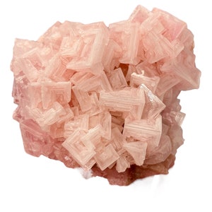 A Large Gorgeous Halite on Trona Pink Chalky Salt Mineral Specimen ...