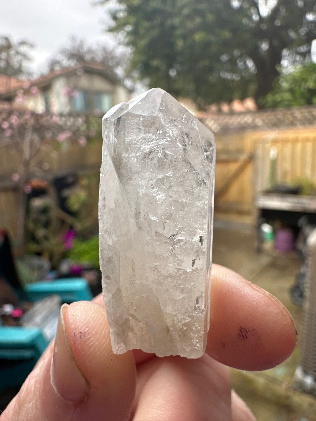 A++ DANBURITE With Sidecar Double Terminated Quartz Crystal Mineral ...