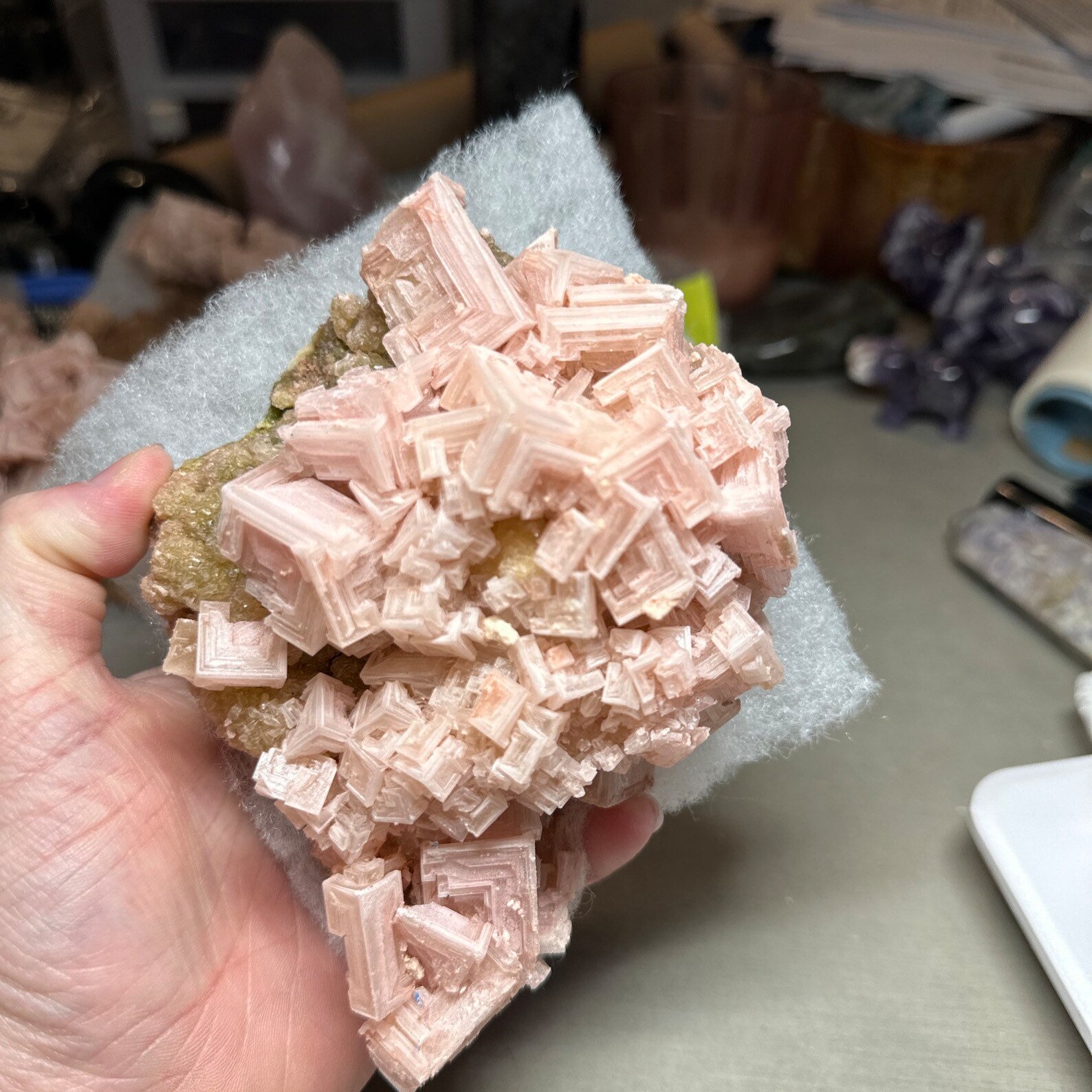 A X-LARGE Huge Gorgeous Halite on Trona Pink Chalky Salt Mineral ...