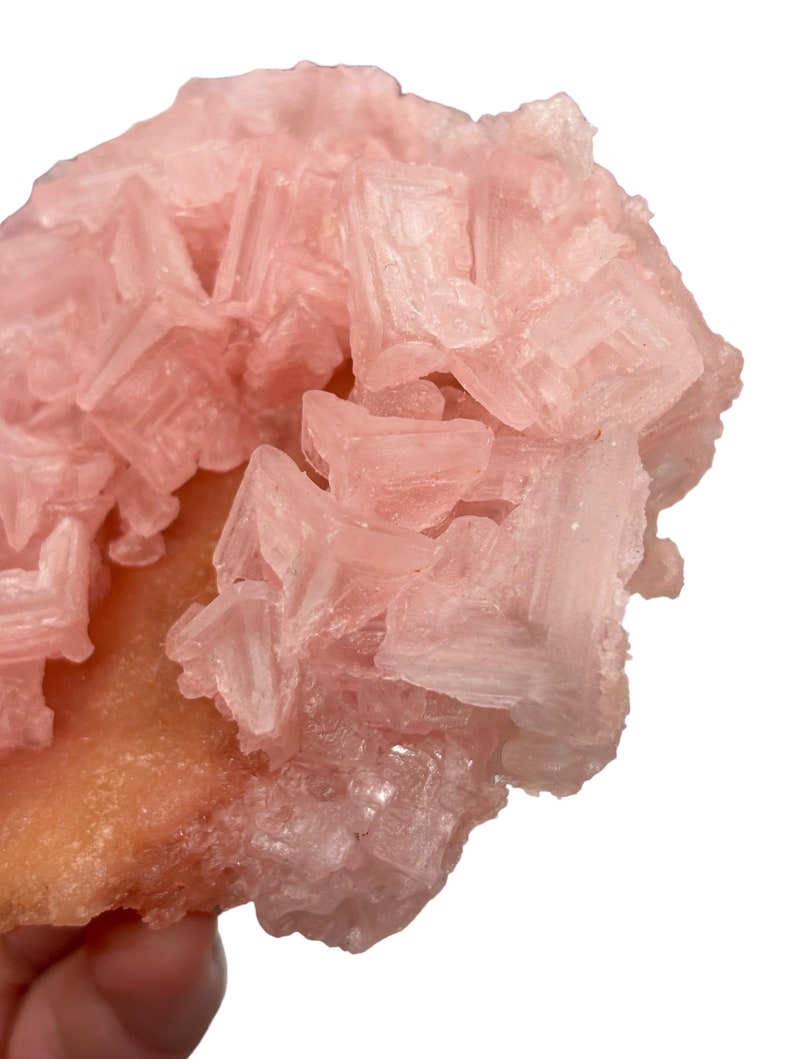 A Large Gorgeous Halite on Trona Pink Chalky Salt Mineral Specimen ...