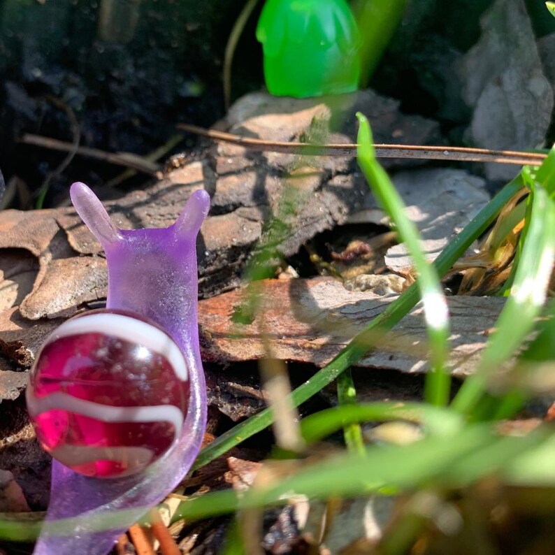 Original Violet Snarble, Snail and Marble - Etsy