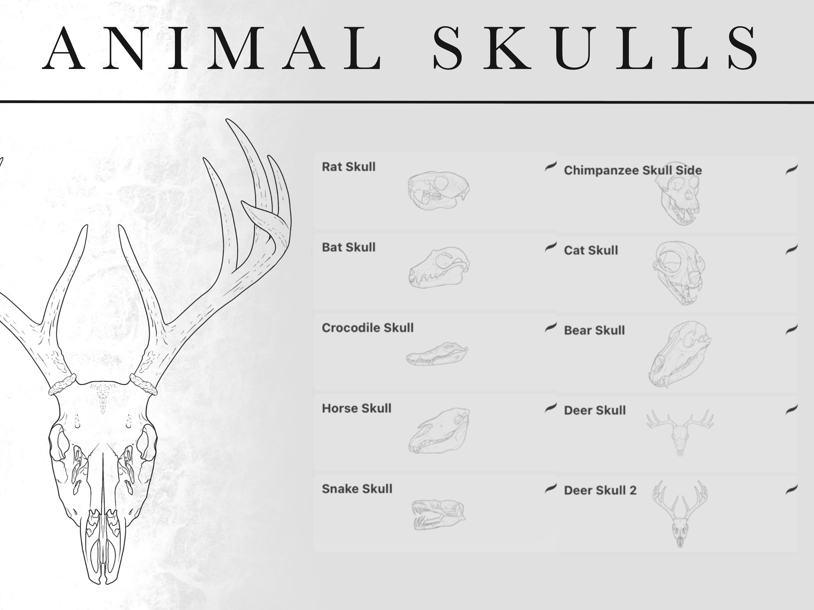 Animal Skulls Stamps Animal Skull Brush Set With 20 Stamps | Etsy