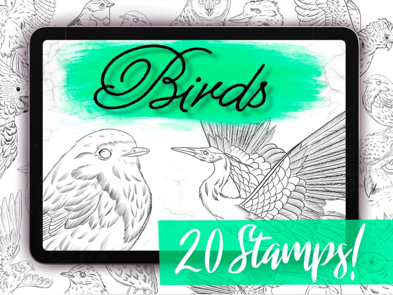 Bird Procreate Brushes 20 Procreate Stamp Set Detailed | Etsy