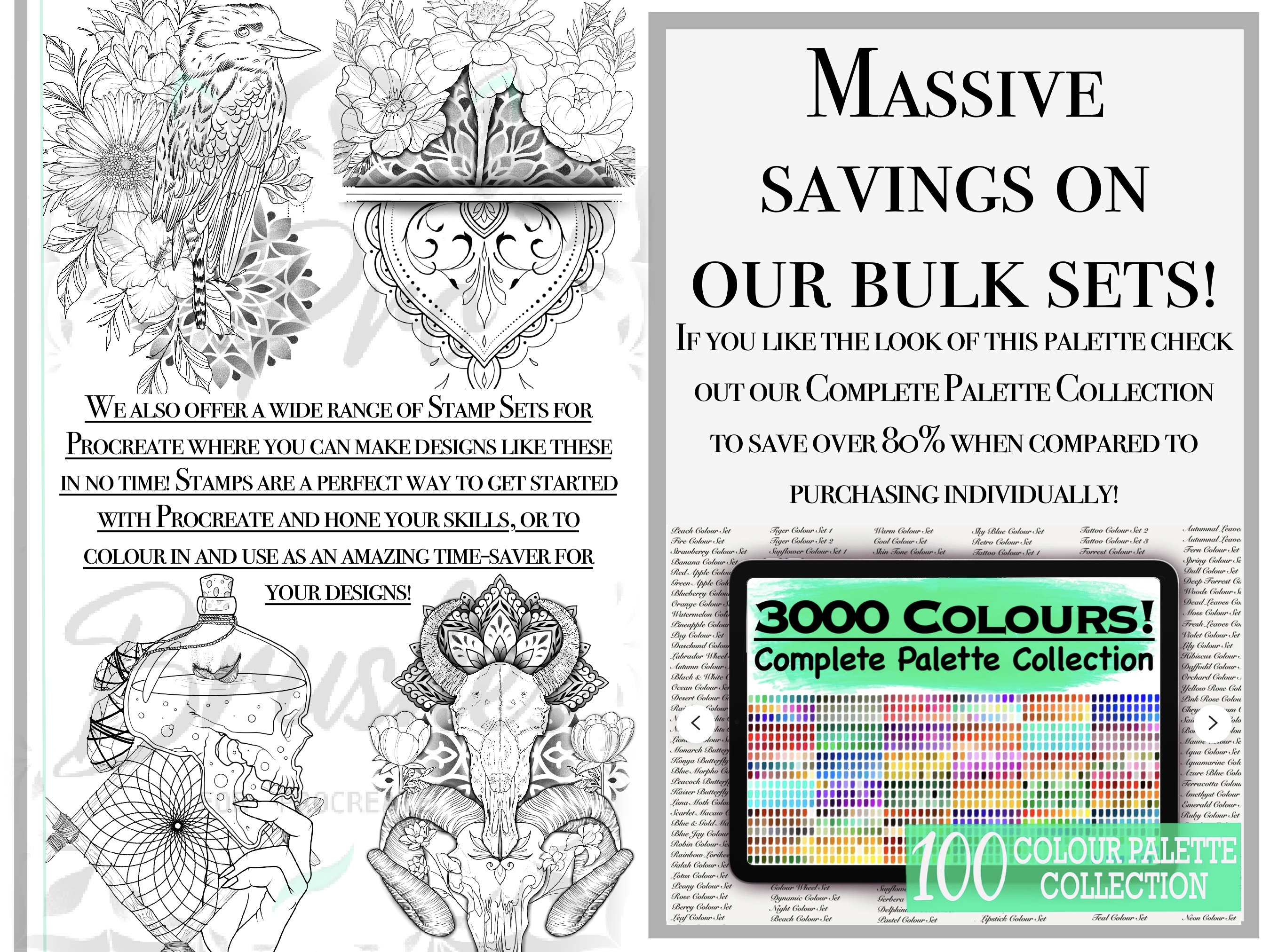 Skin Colour Set Procreate Colour Palettes - Etsy