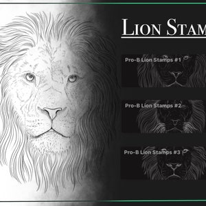 Lion Procreate Stamps - 10 Detailed Lion Procreate Brushes - Lion ...