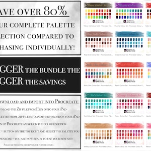 Colour Wheel Set - Procreate Colour Palettes - Etsy