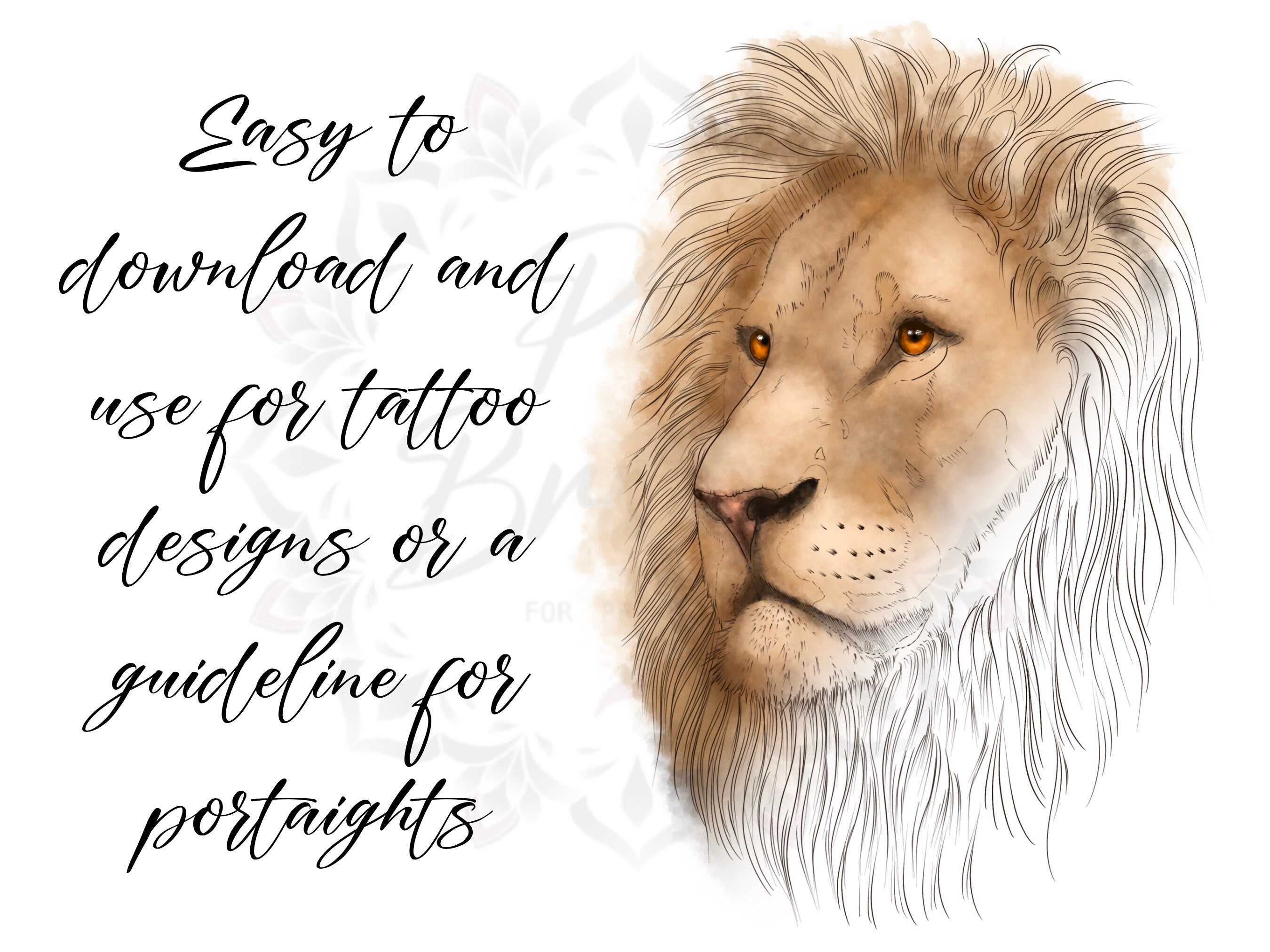 Lion Procreate Stamps 10 Detailed Lion Procreate Brushes Lion Tattoo ...