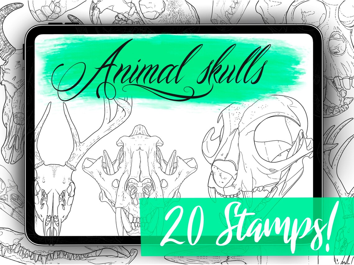 Animal Skulls Stamps Animal Skull Brush Set With 20 Stamps - Etsy