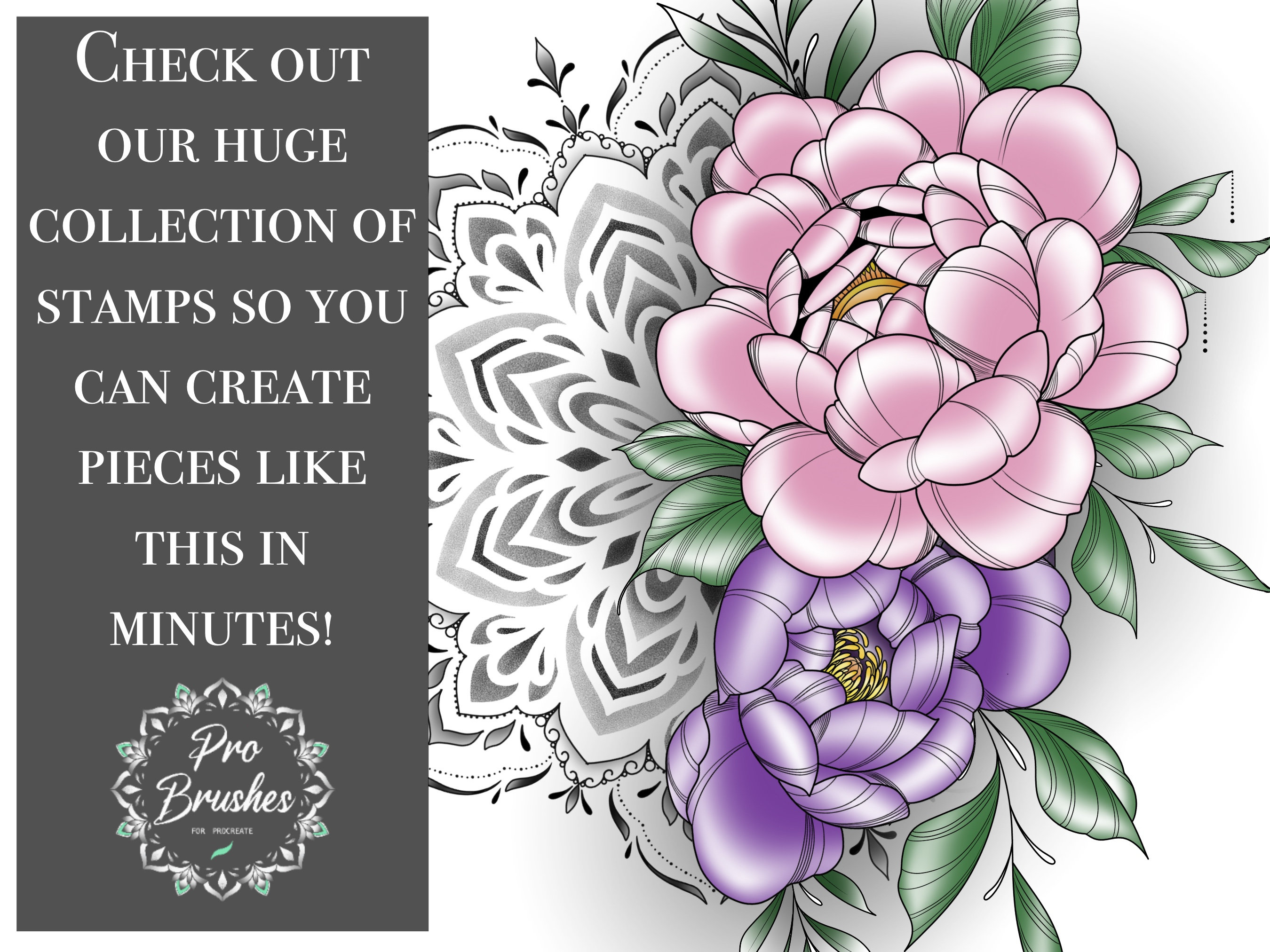 Skin Colour Set Procreate Colour Palettes - Etsy