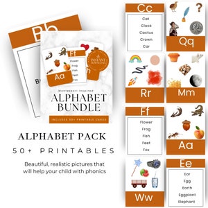 Montessori Inspired Alphabet Posters for Early Readers Phonics ...
