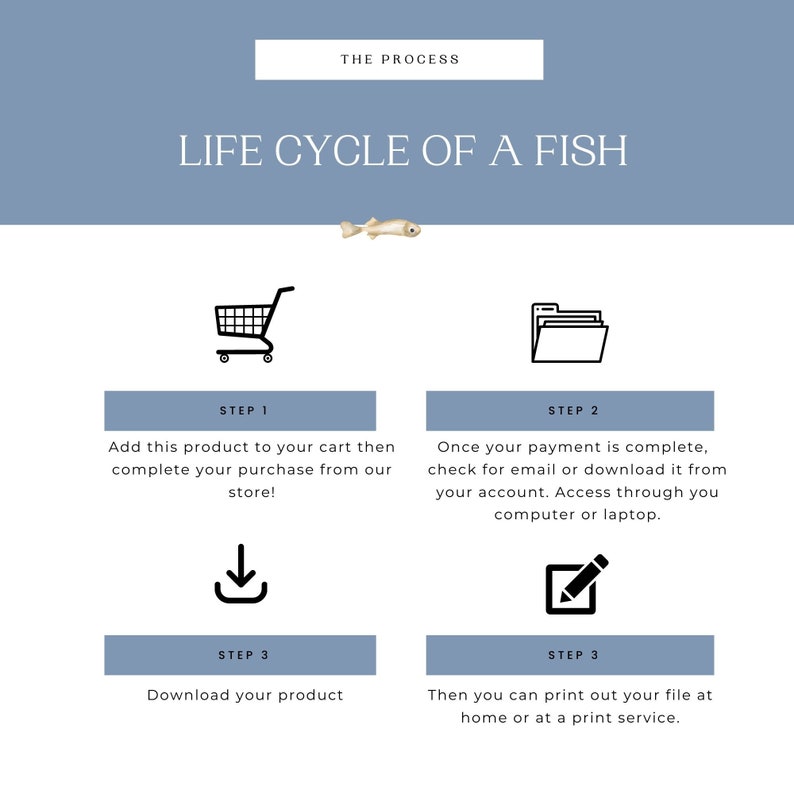 Fish Life Cycle Poster With Flashcards Nature Homeschool Decor ...