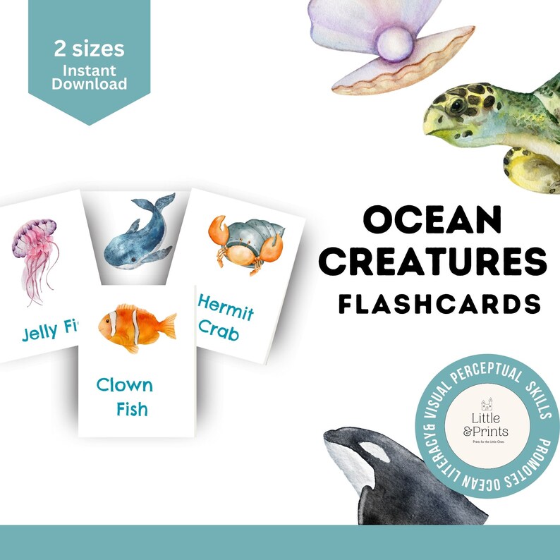 Ocean Animal Flashcards Homeschool Sea Animals Cards Ocean Animals ...