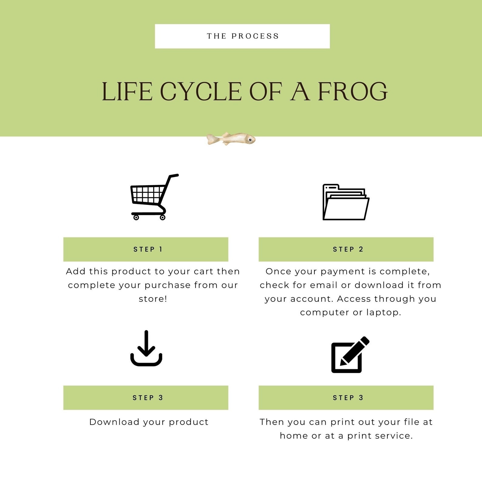 Frog Life Cycle Poster Frog Flash Cards Preschool Homeschool Decor ...