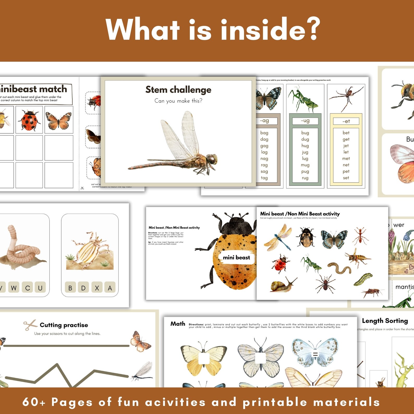 Mini Beasts Unit Study: Nature Homeschool Printable (PDF) - Etsy