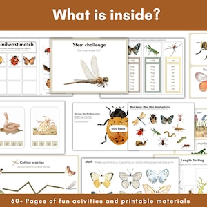 Mini Beasts Unit Study: Nature Homeschool Printable (PDF) - Etsy