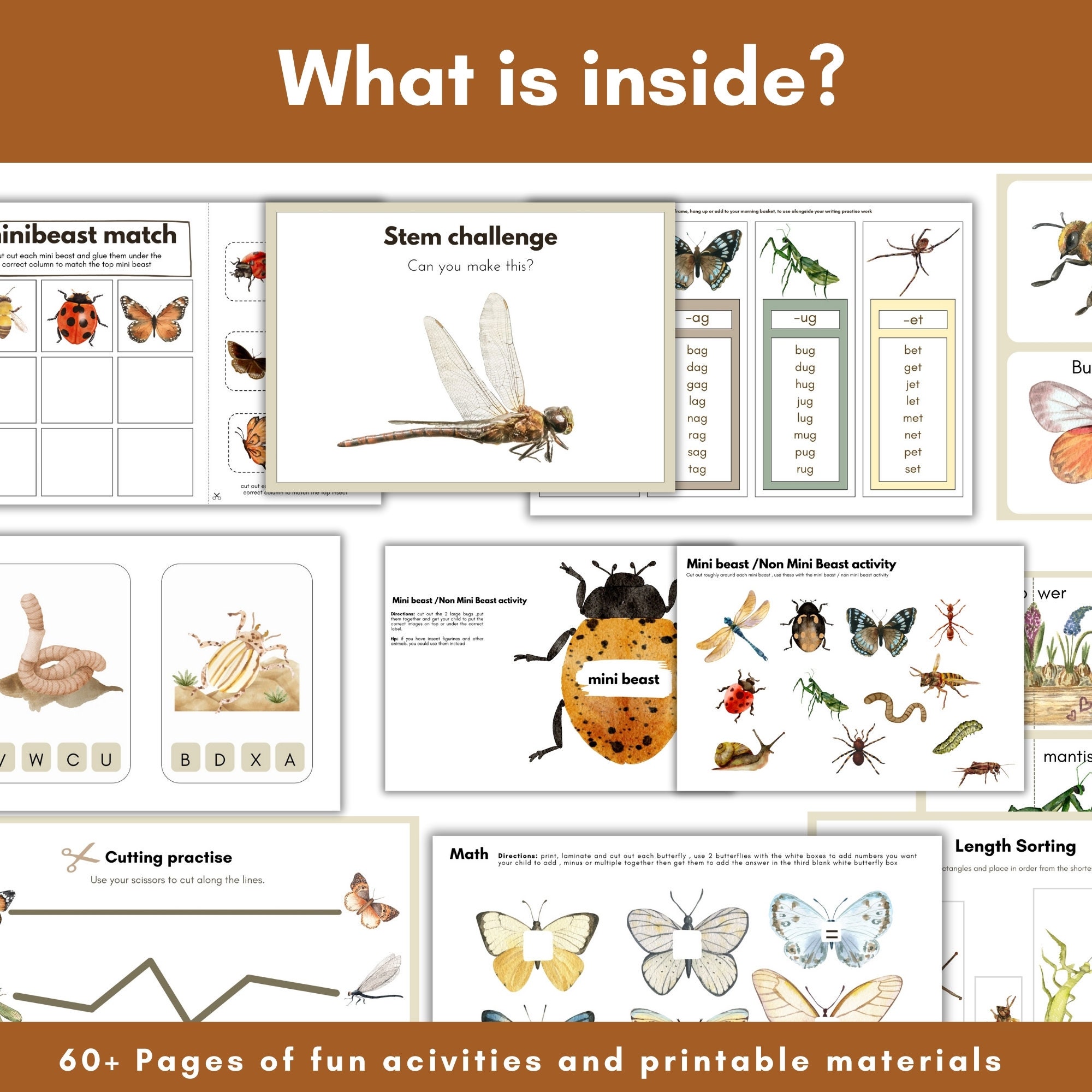 Mini Beasts Unit Study: Nature Homeschool Printable (PDF) - Etsy