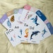 Ocean Animal ALPHABET Flashcards Sea Animals Cards Ocean Animals Chart ...