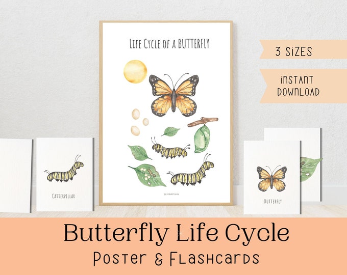Life Cycle of Butterfly Poster, Animal Printable, Montessori ...