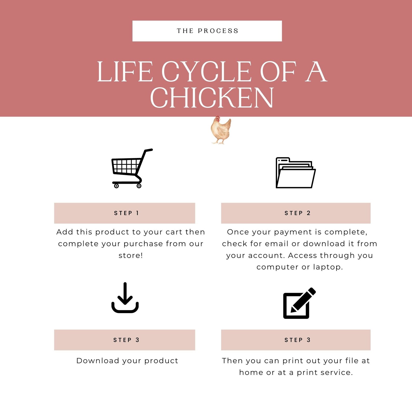 Chicken Life Cycle Poster Nature Homeschool Decor Watercolor Art ...