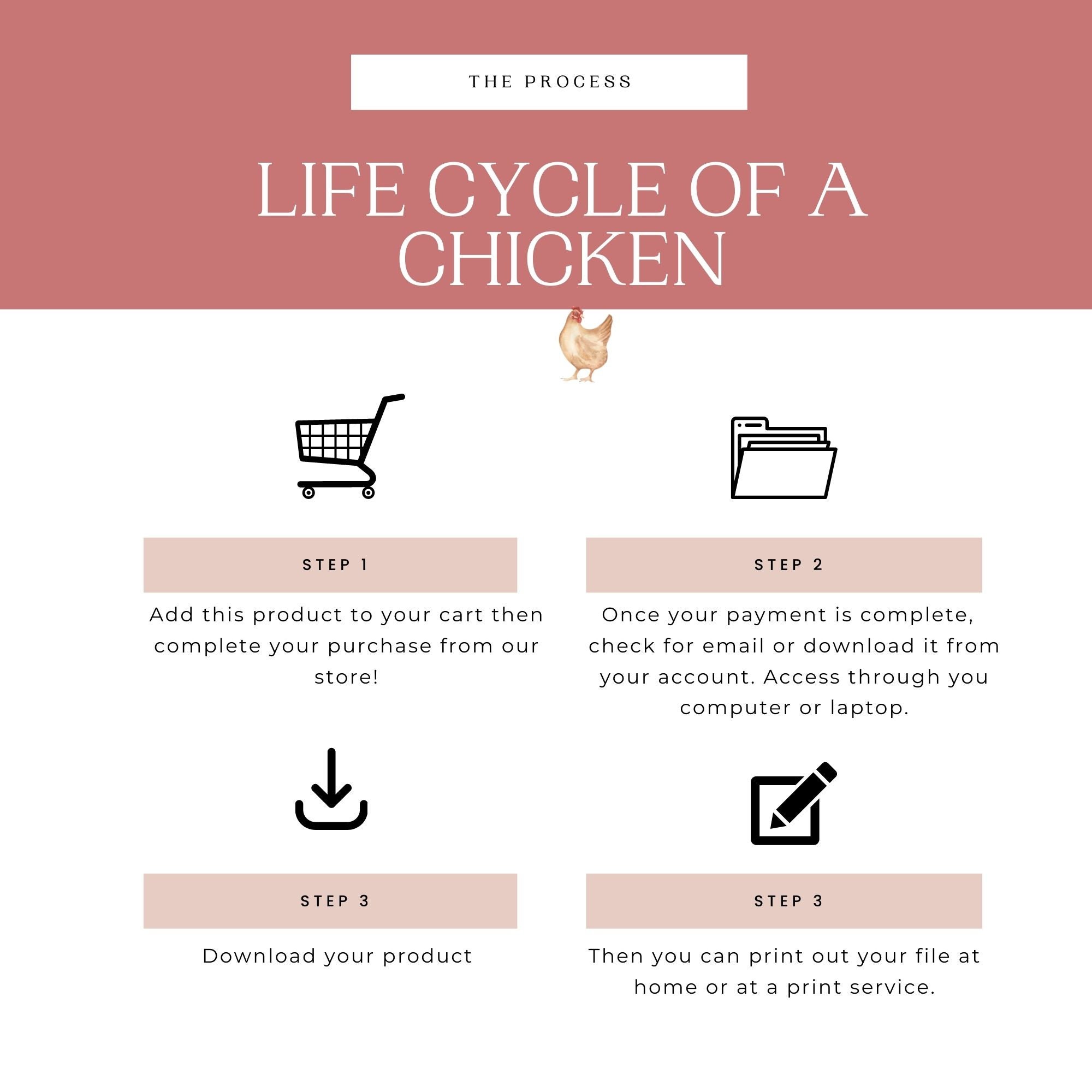 Chicken Life Cycle Poster With Flashcards Nature Homeschool Decor ...
