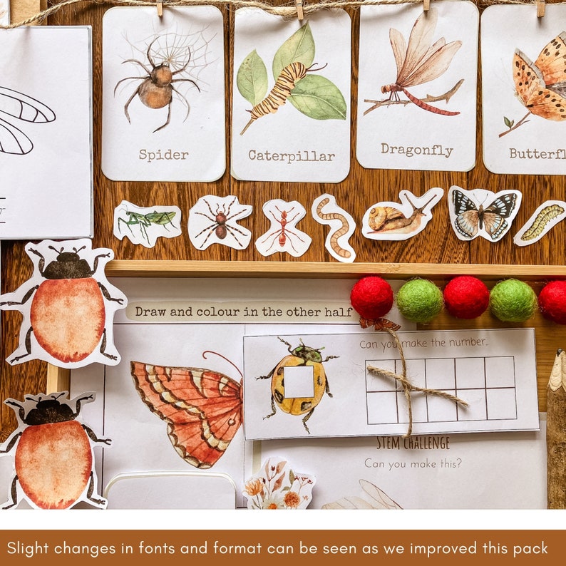 Mini Beasts Unit Study: Nature Homeschool Printable (PDF) - Etsy