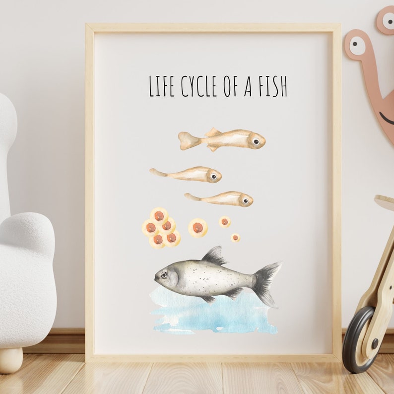 Fish Life Cycle Poster With Flashcards Nature Homeschool Decor ...