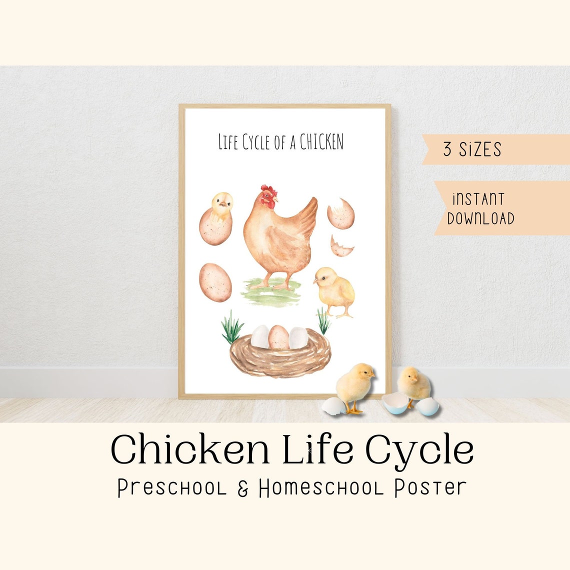 Chicken Life Cycle Poster Nature Homeschool Decor Watercolor Art ...