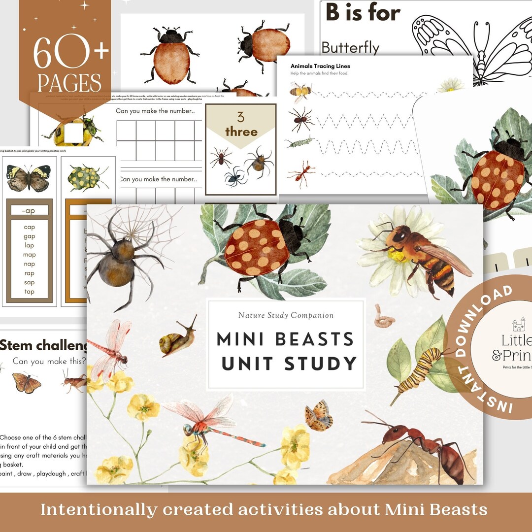 Mini Beasts Unit Study: Nature Homeschool Printable (PDF) - Etsy