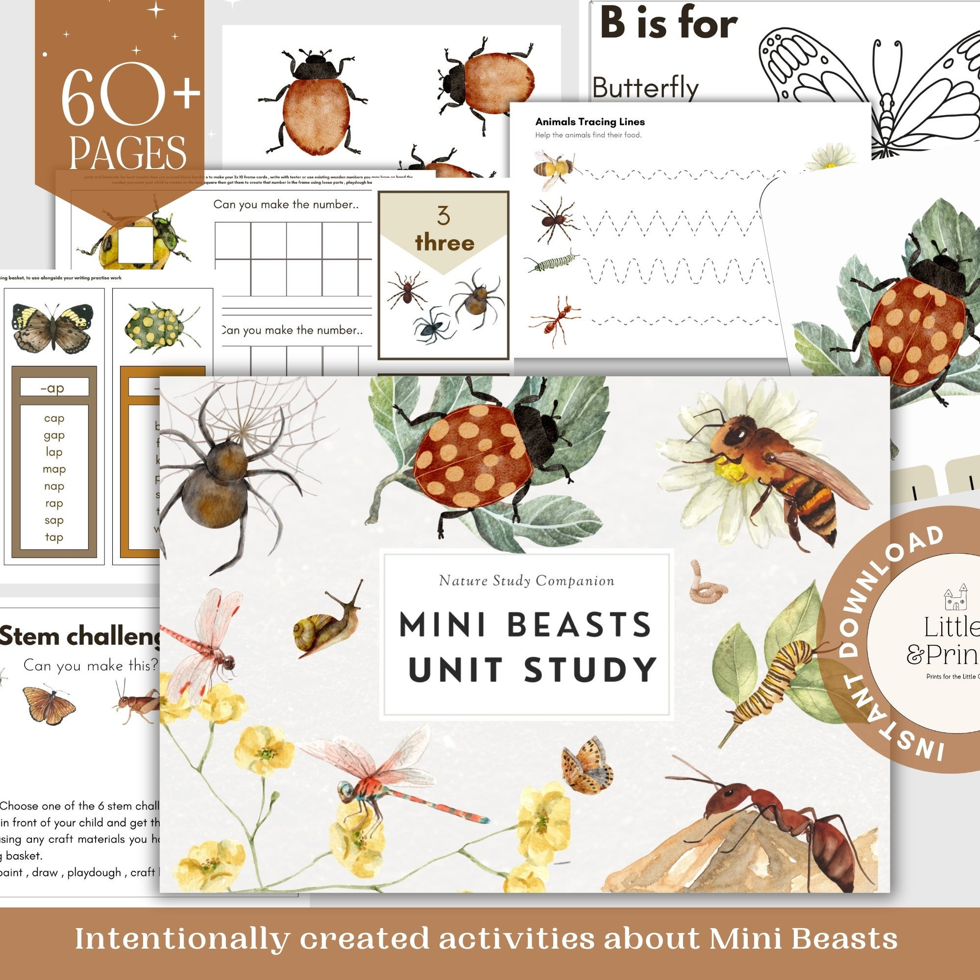 Mini Beasts Unit Study: Nature Homeschool Printable (PDF) - Etsy