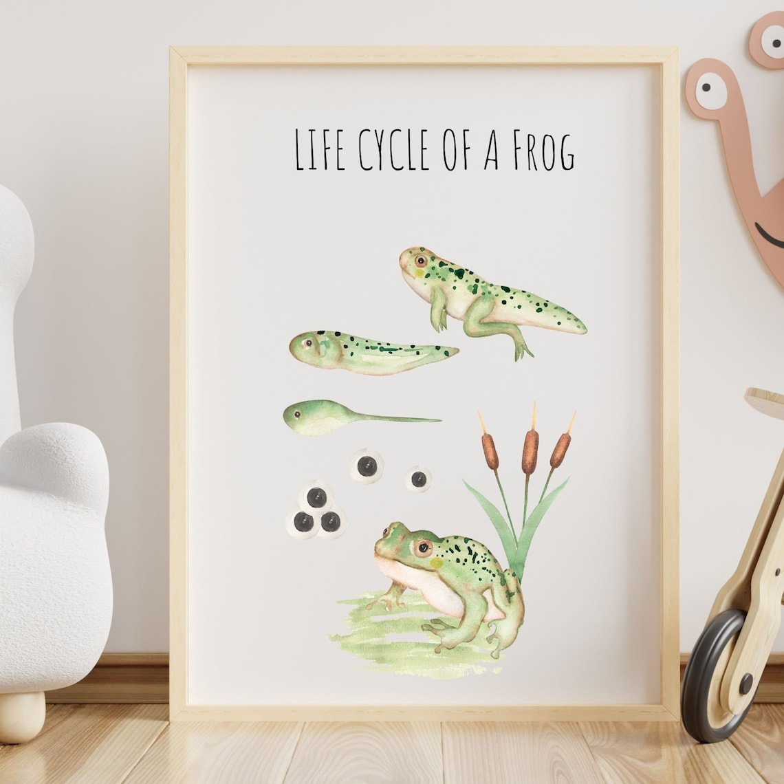 Frog Life Cycle Poster Frog Flash Cards Preschool Homeschool Decor ...