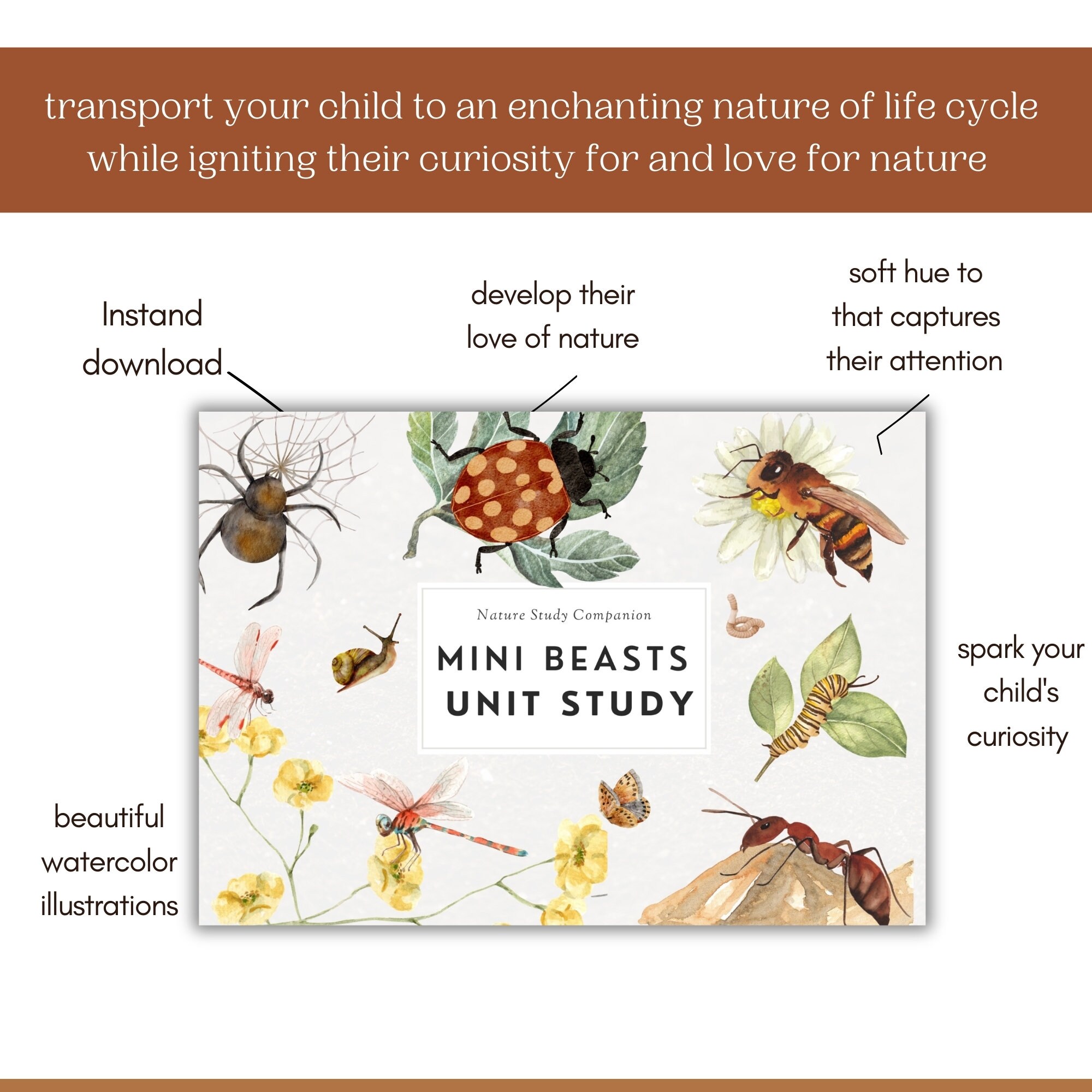Mini Beasts Unit Study: Nature Homeschool Printable (PDF) - Etsy