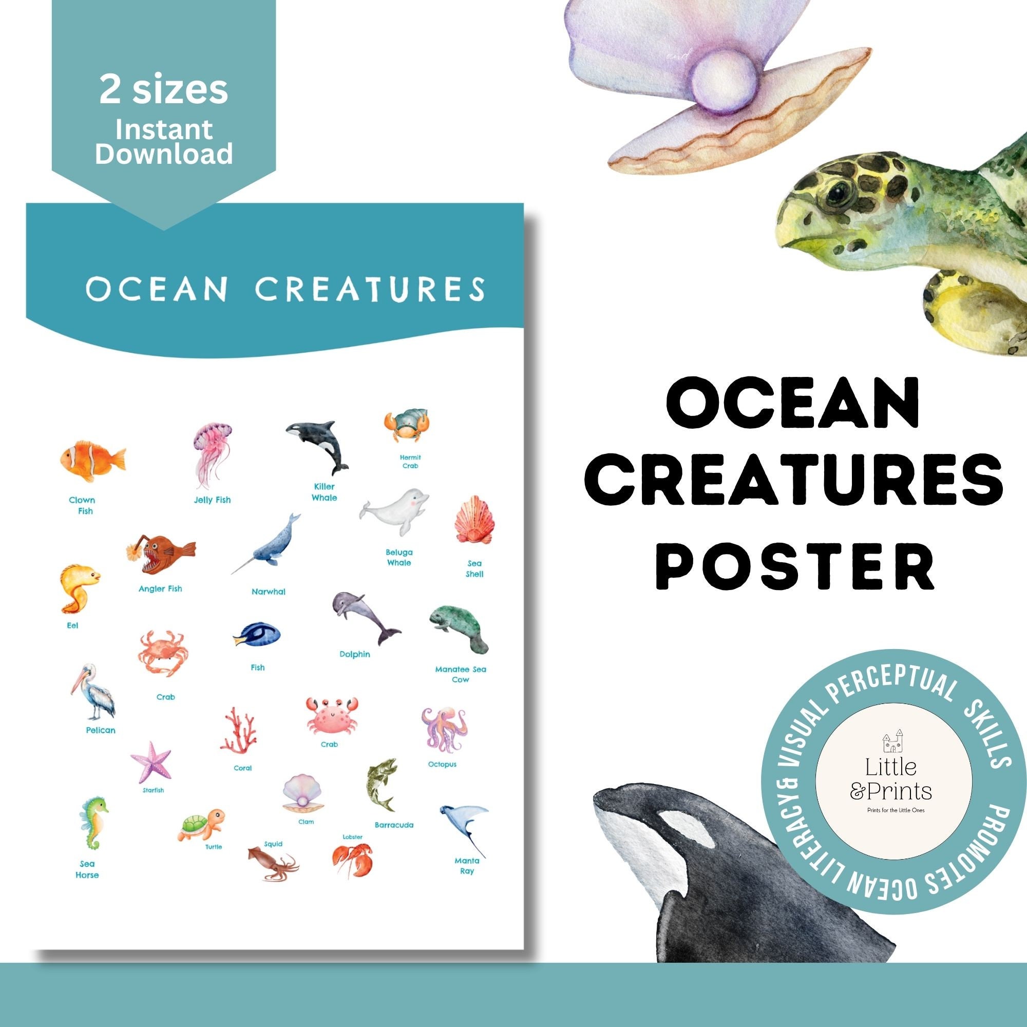 Ocean Poster Sea Animals Posters Ocean Animals Chart Preschool Games ...