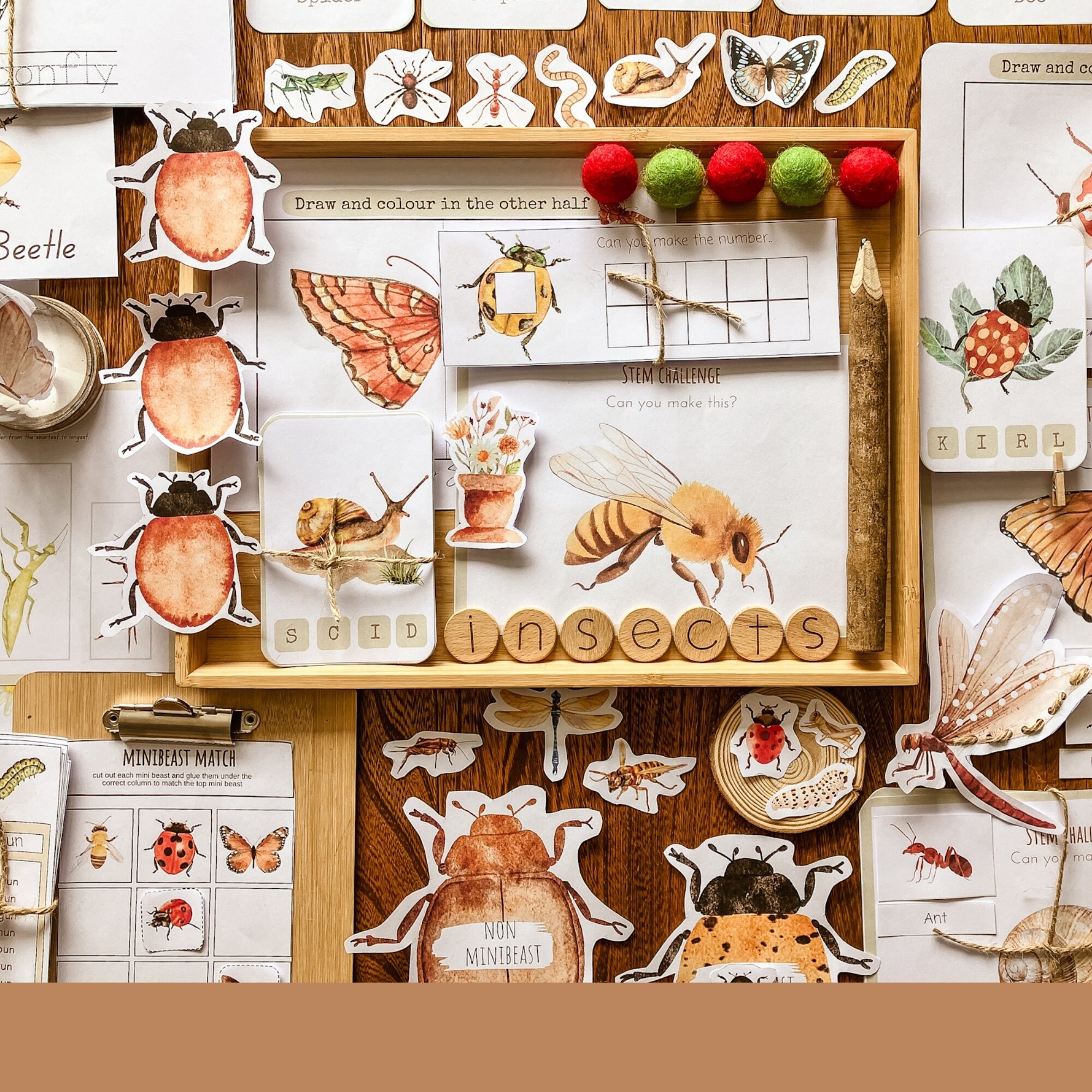 Mini Beasts Unit Study: Nature Homeschool Printable (PDF) - Etsy