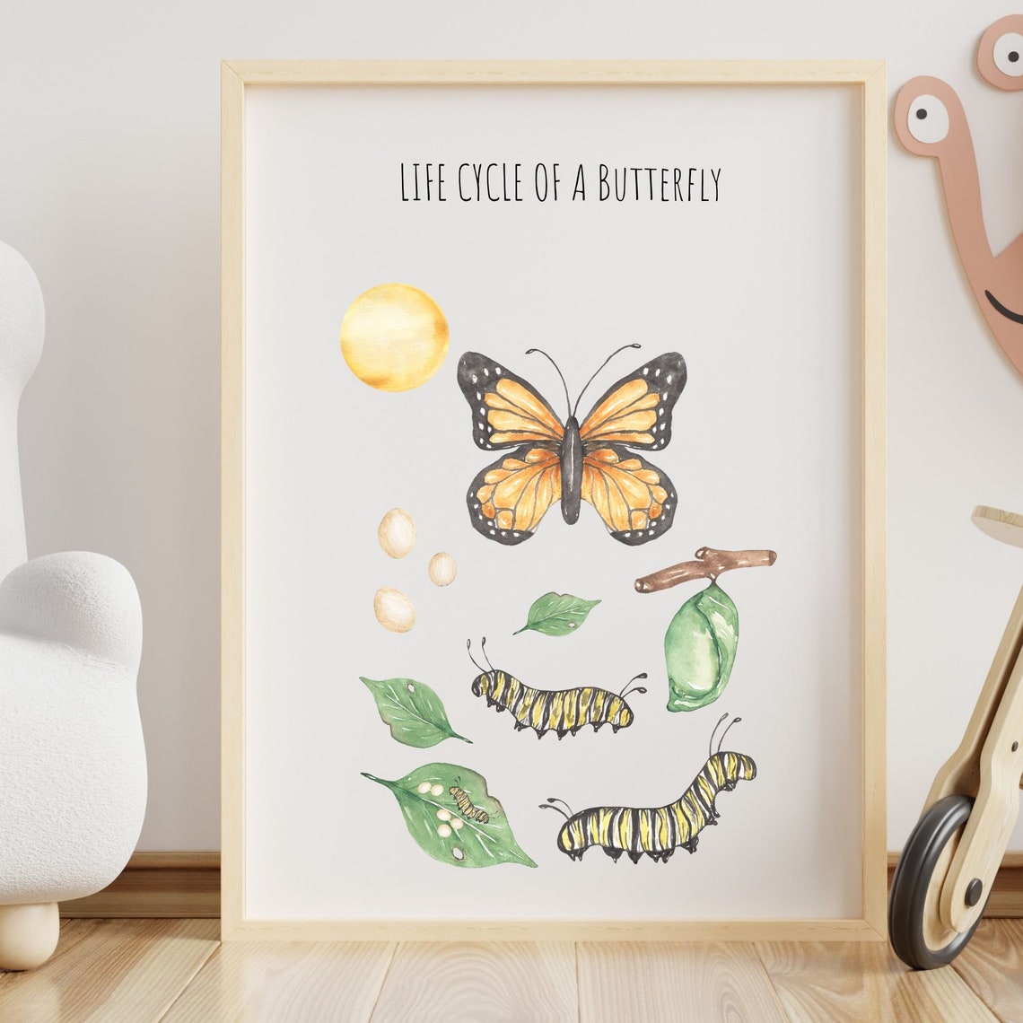 Life Cycle of a Butterfly Poster With Flashcards Butterfly Nature Study ...