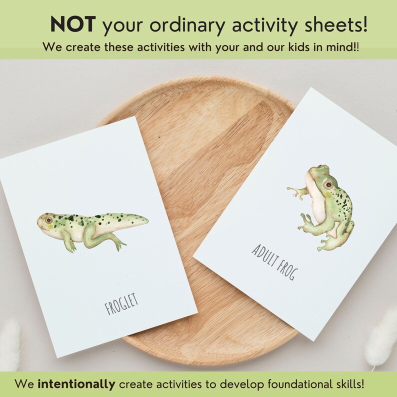 Frog Life Cycle Poster Frog Flash Cards Preschool Homeschool Decor ...