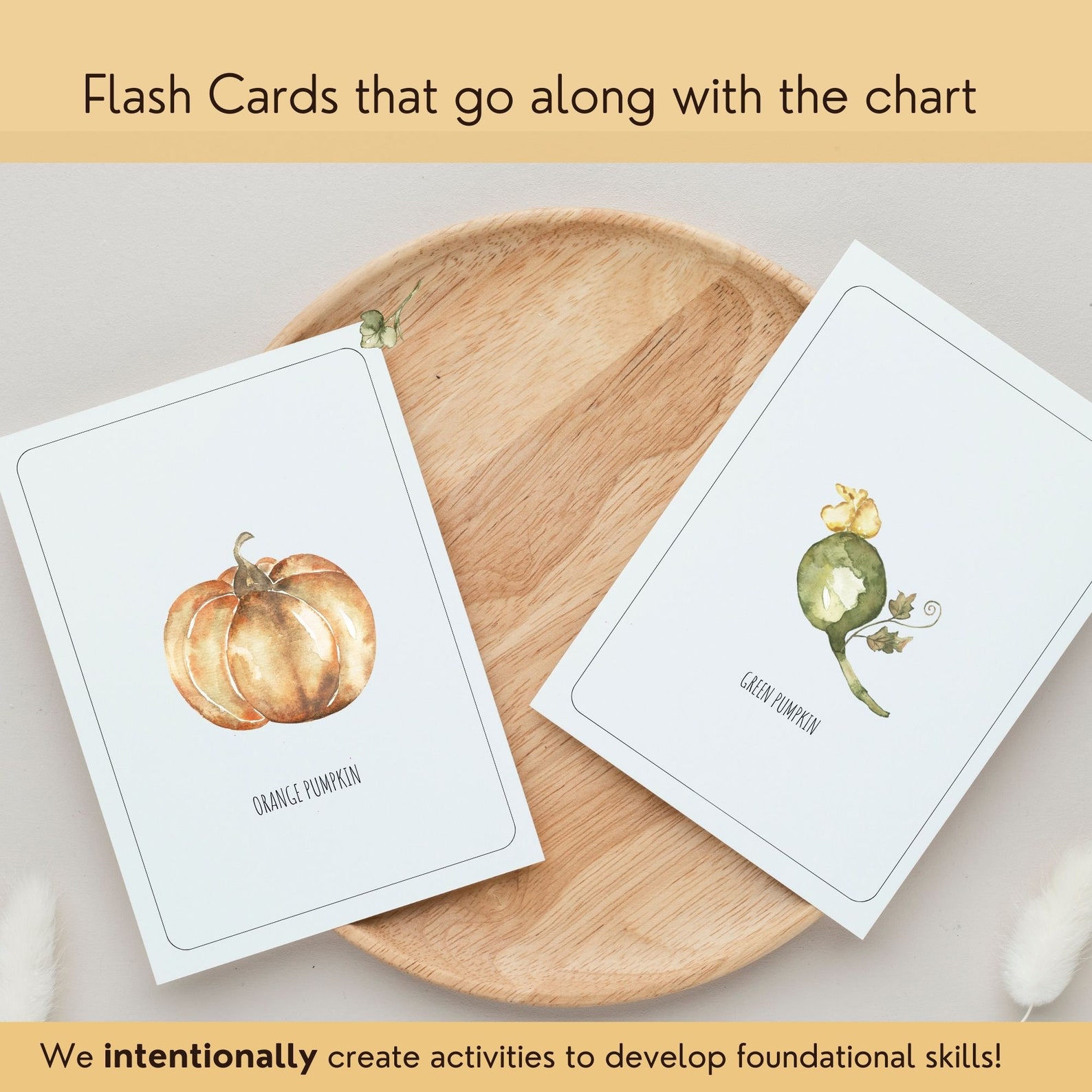 Pumpkin Life Cycle Poster Pumpkin Flashcards Homeschool Decor Pumpkin ...
