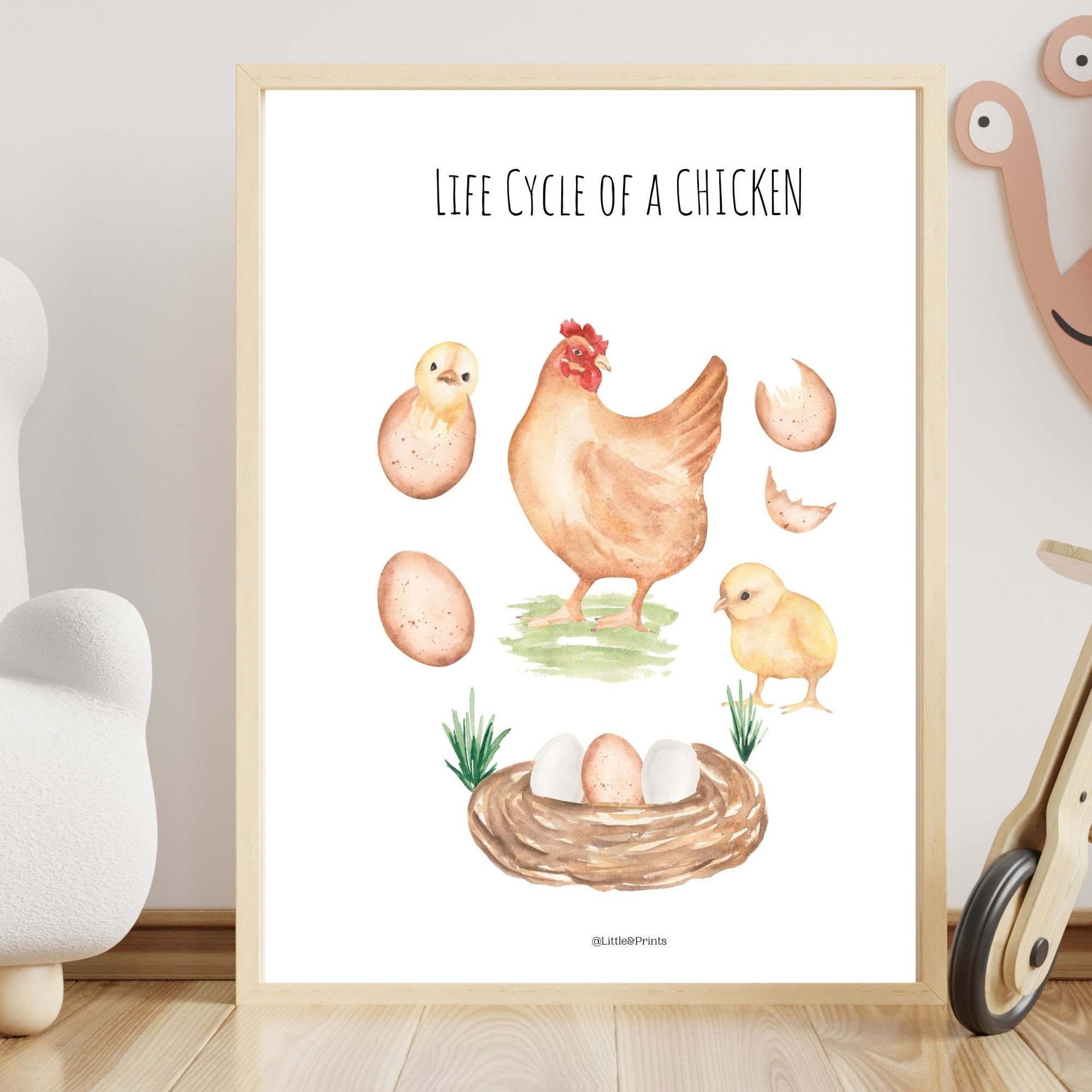 Chicken Life Cycle Poster With Flashcards Nature Homeschool Decor ...