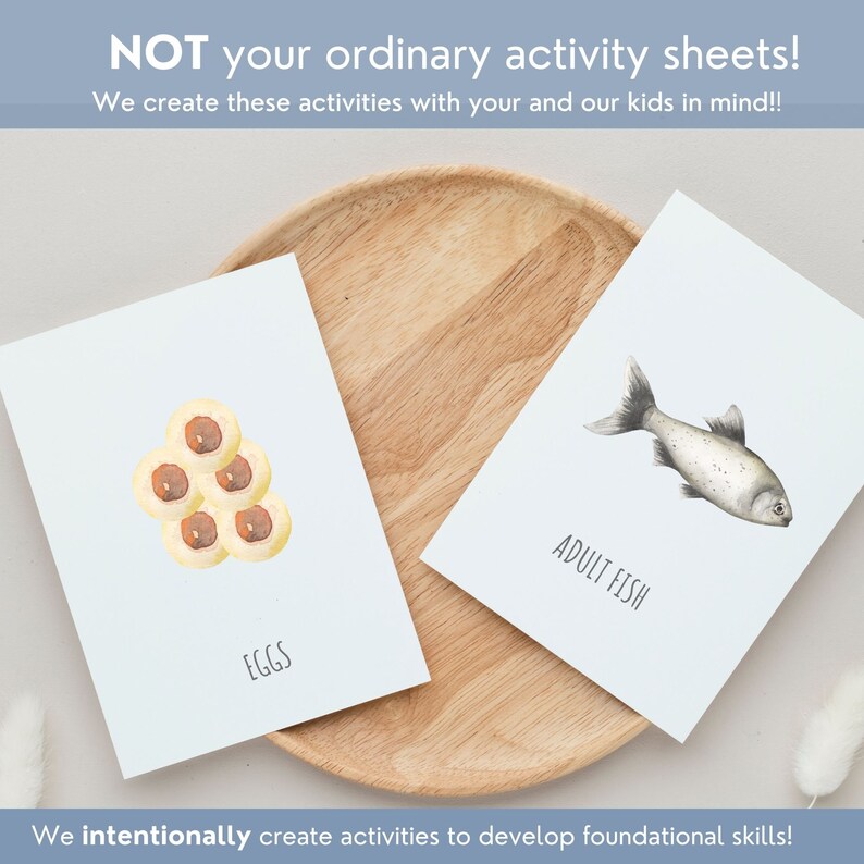 Fish Life Cycle Poster With Flashcards Nature Homeschool Decor ...