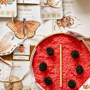 Mini Beasts Unit Study: Nature Homeschool Printable (PDF) - Etsy